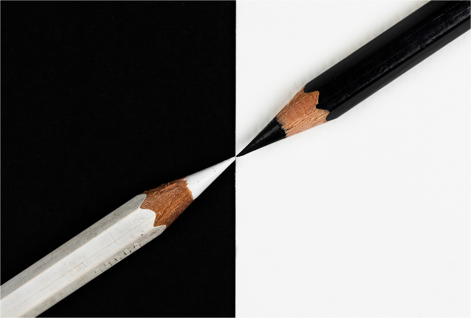 2021 – 2022 – Alton Camera Club